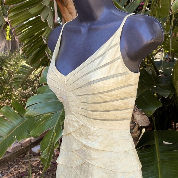 Adrianna Papell | Dresses | Adriana Papel Evening Tiered Ruffle ...